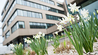 ASCR Demo Center | aspern Seestadt